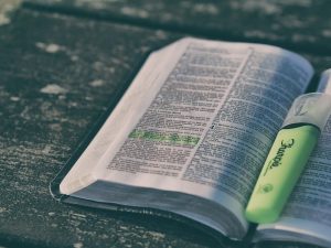 Humility in The Bible (With Examples & Lessons to Learn)