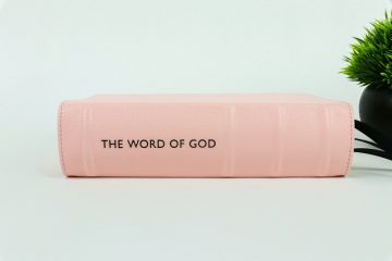John 5 Summary (Meaning, Lessons & Key Verses)